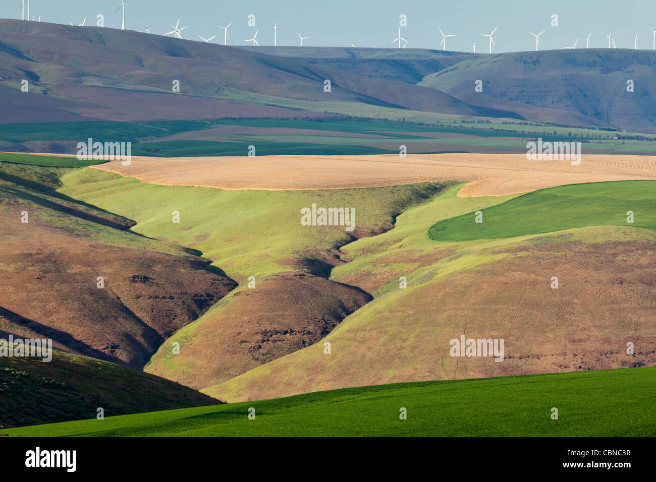 Farm fields, Wind Turbines, Near Wasco, Oregon Stock Photo - Alamy
