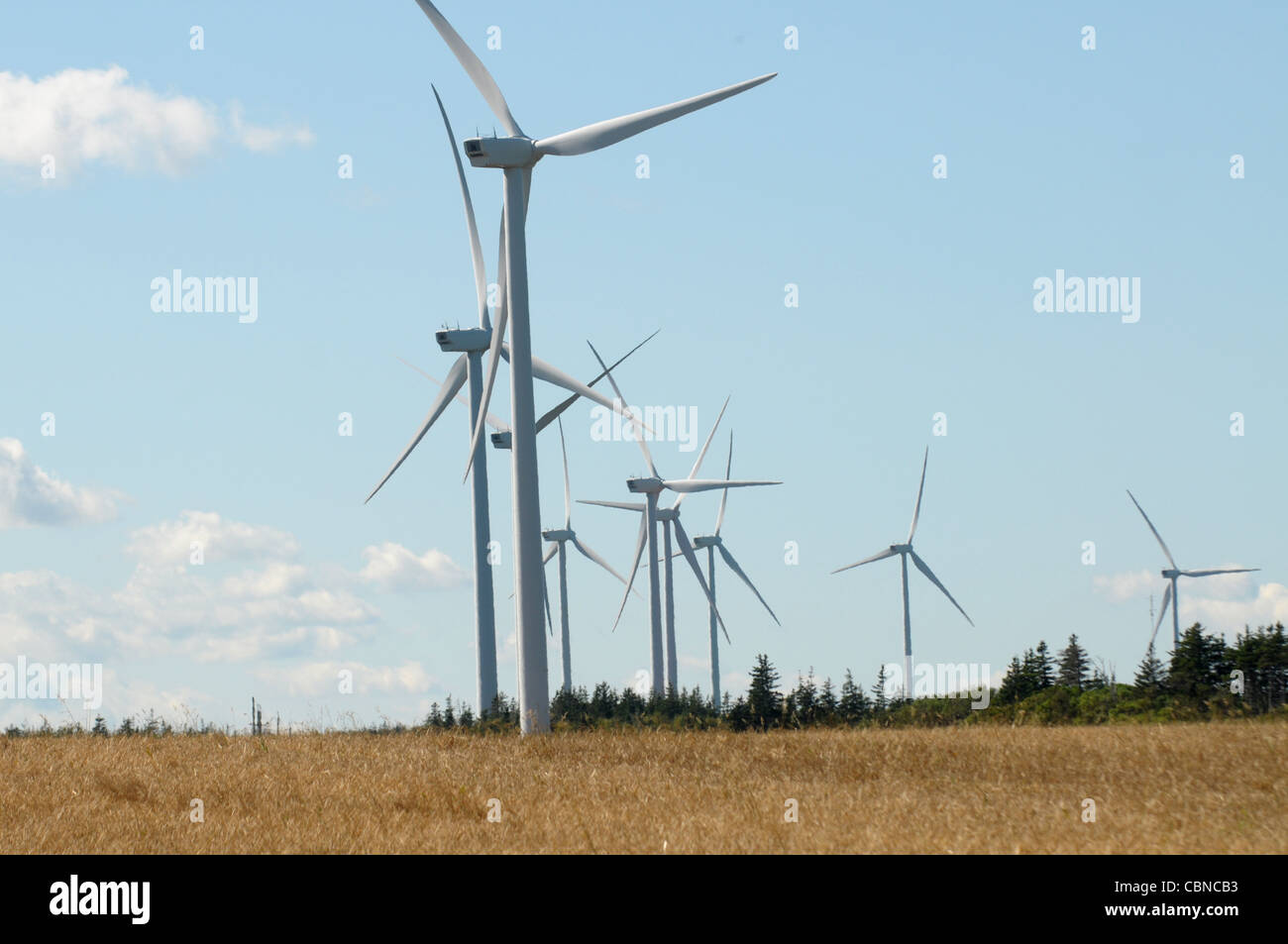 Commercial windmills are lined up grabbing the wind for electric power ...