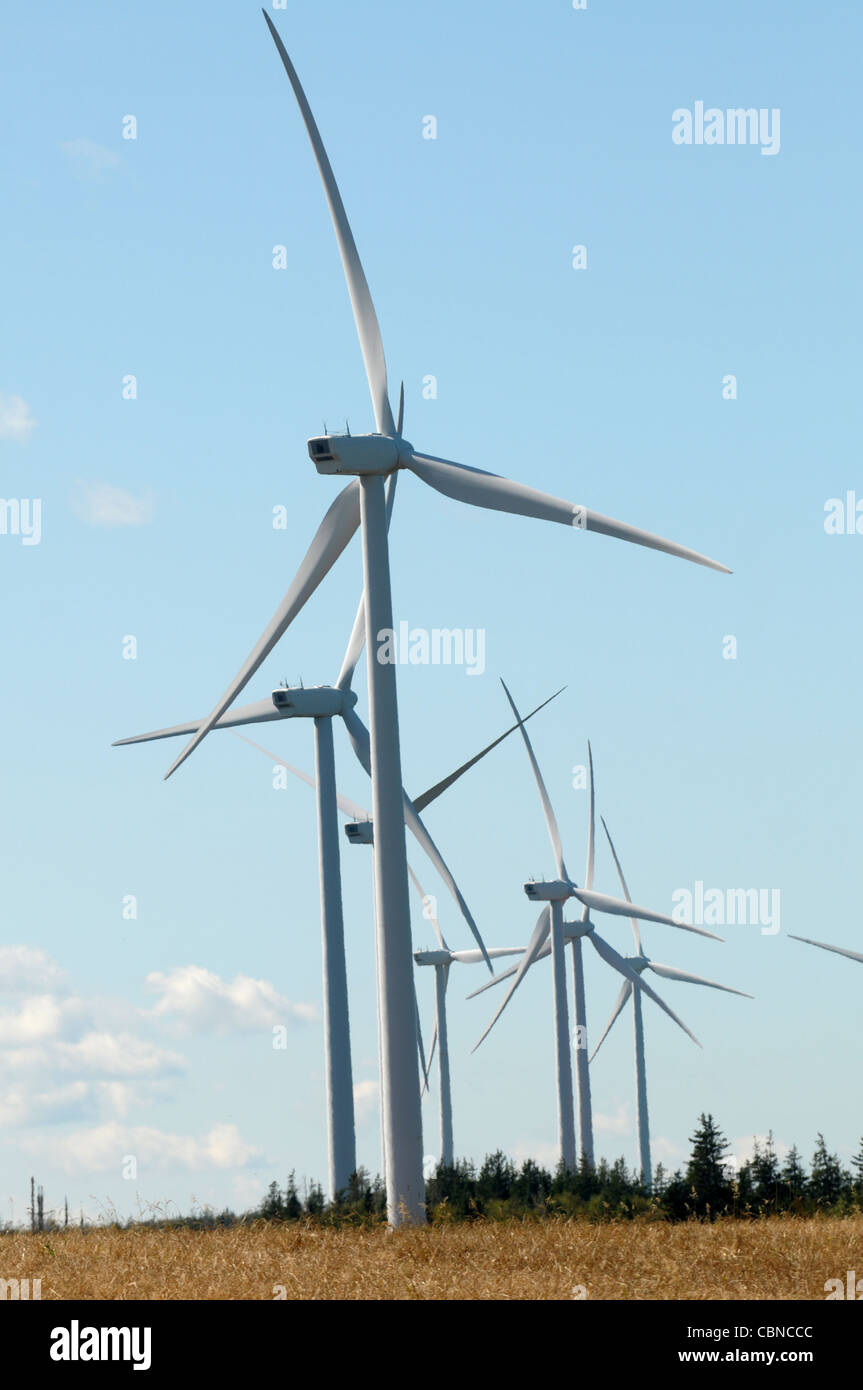 Commercial windmills are lined up grabbing the wind for electric power ...