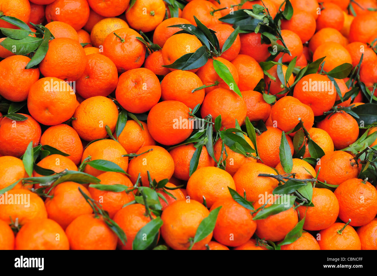 Fresh fruits year round hi-res stock photography and images - Alamy