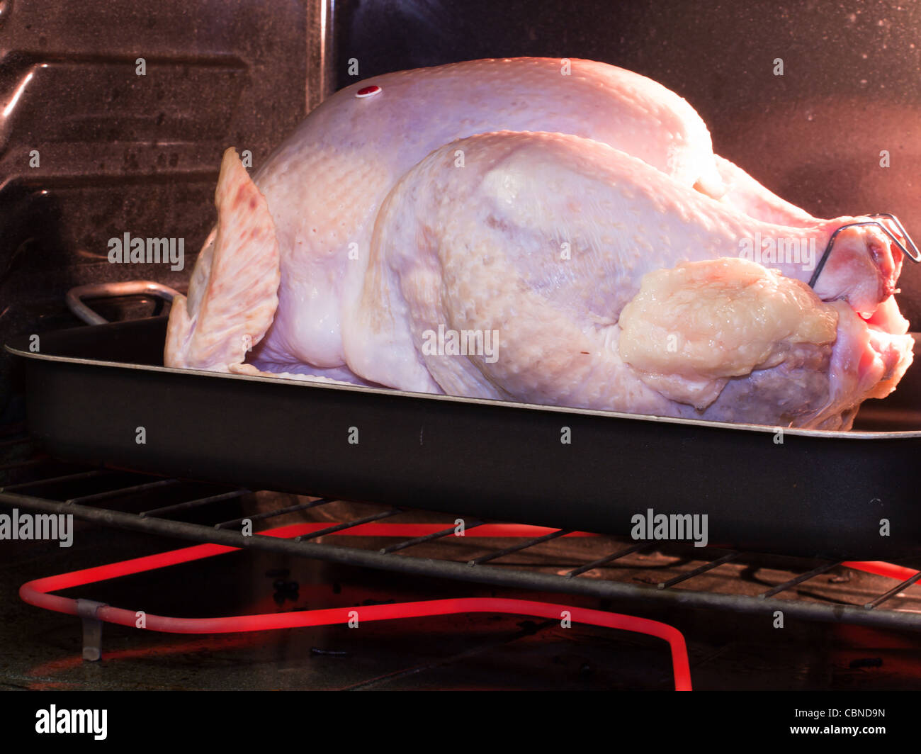 Turkey cooking in the oven Stock Photo - Alamy