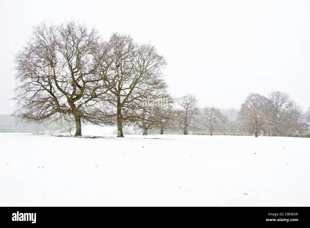 Snow scene of Kent Stock Photo - Alamy