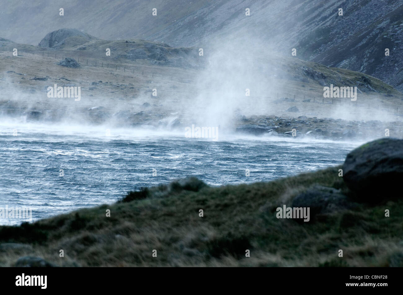 Windy wild weather hi-res stock photography and images - Alamy