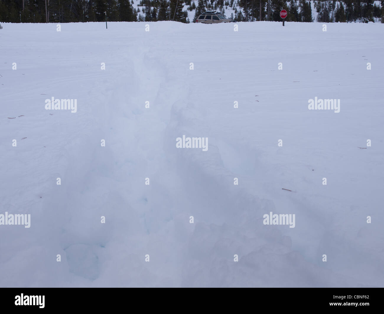 Human trail in the fresh snow Stock Photo - Alamy
