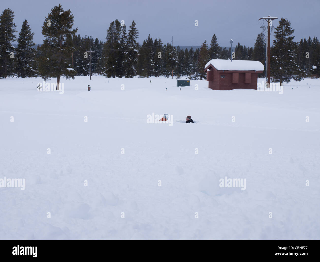 Kids playing in the snow at the Great Teton national park Stock Photo ...
