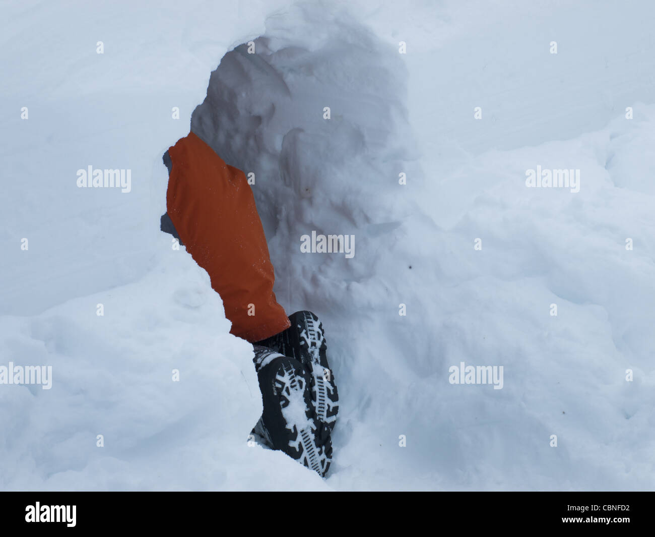 Boy digging a snow cave at the Great Teton national park Stock Photo ...