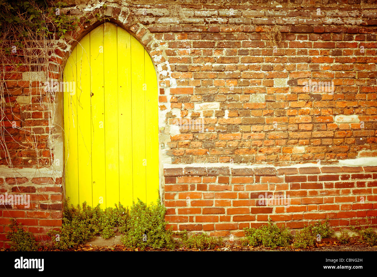 Yellow Gate Clip Art