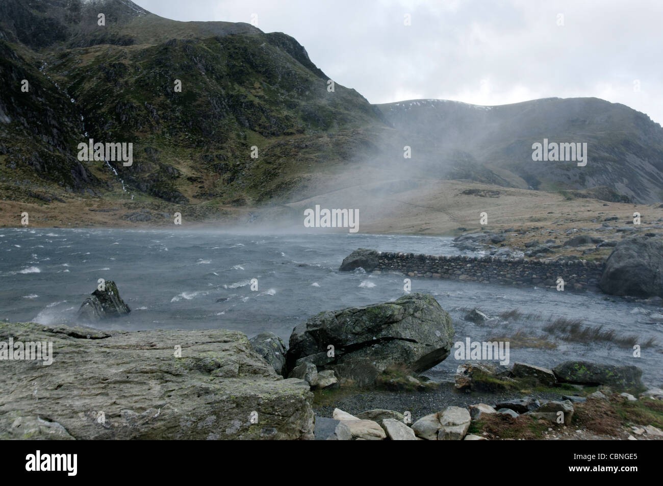 Windy wild weather hi-res stock photography and images - Alamy