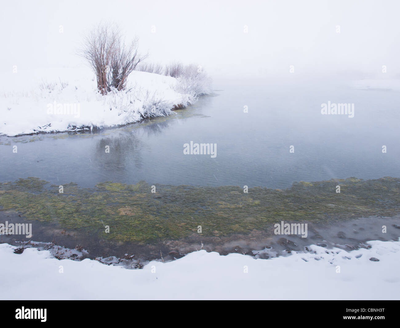 Hot springs with snow near Jackson Hole, WY Stock Photo - Alamy