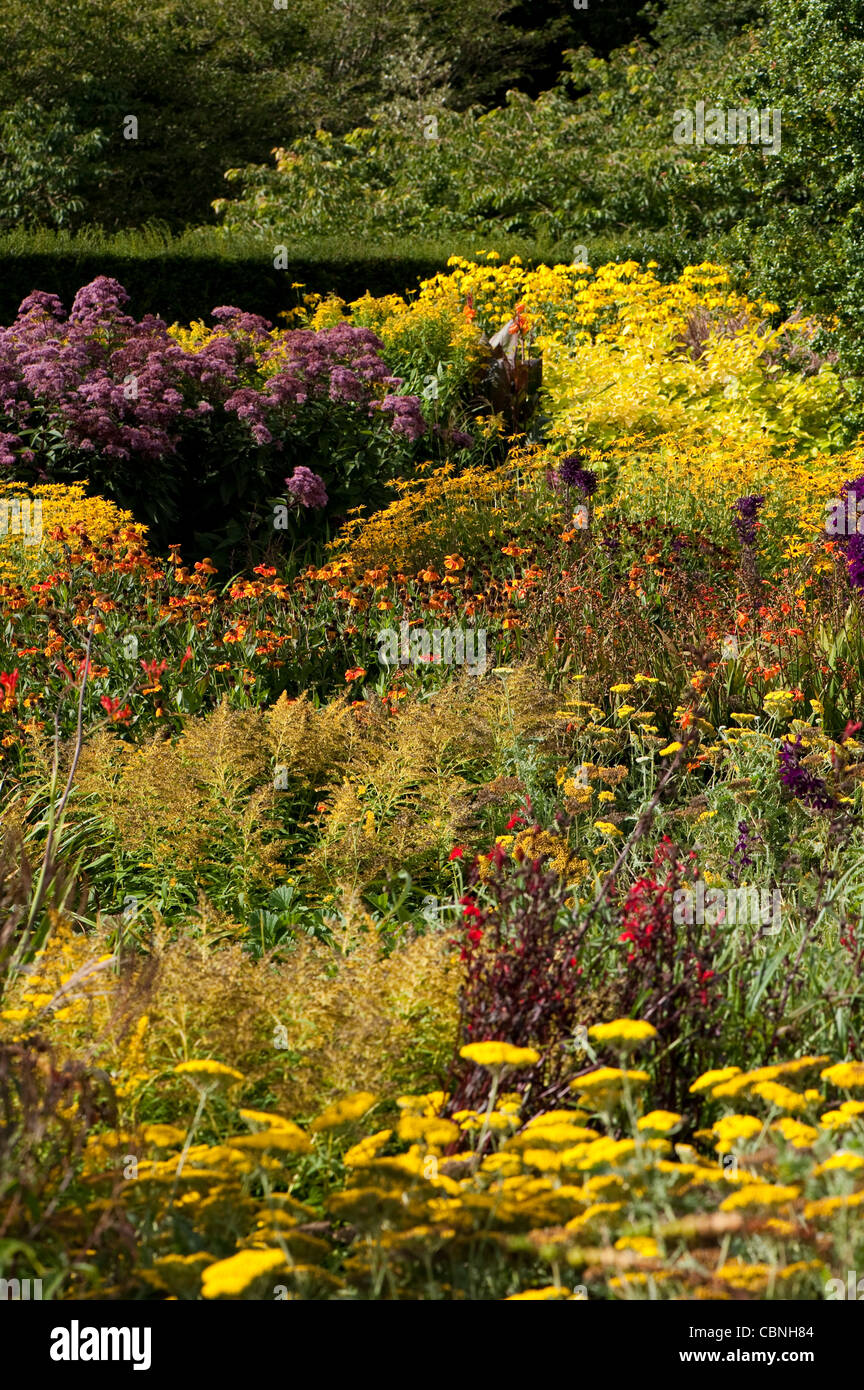 The Hot Garden in September, RHS Rosemoor, Devon, England, United ...