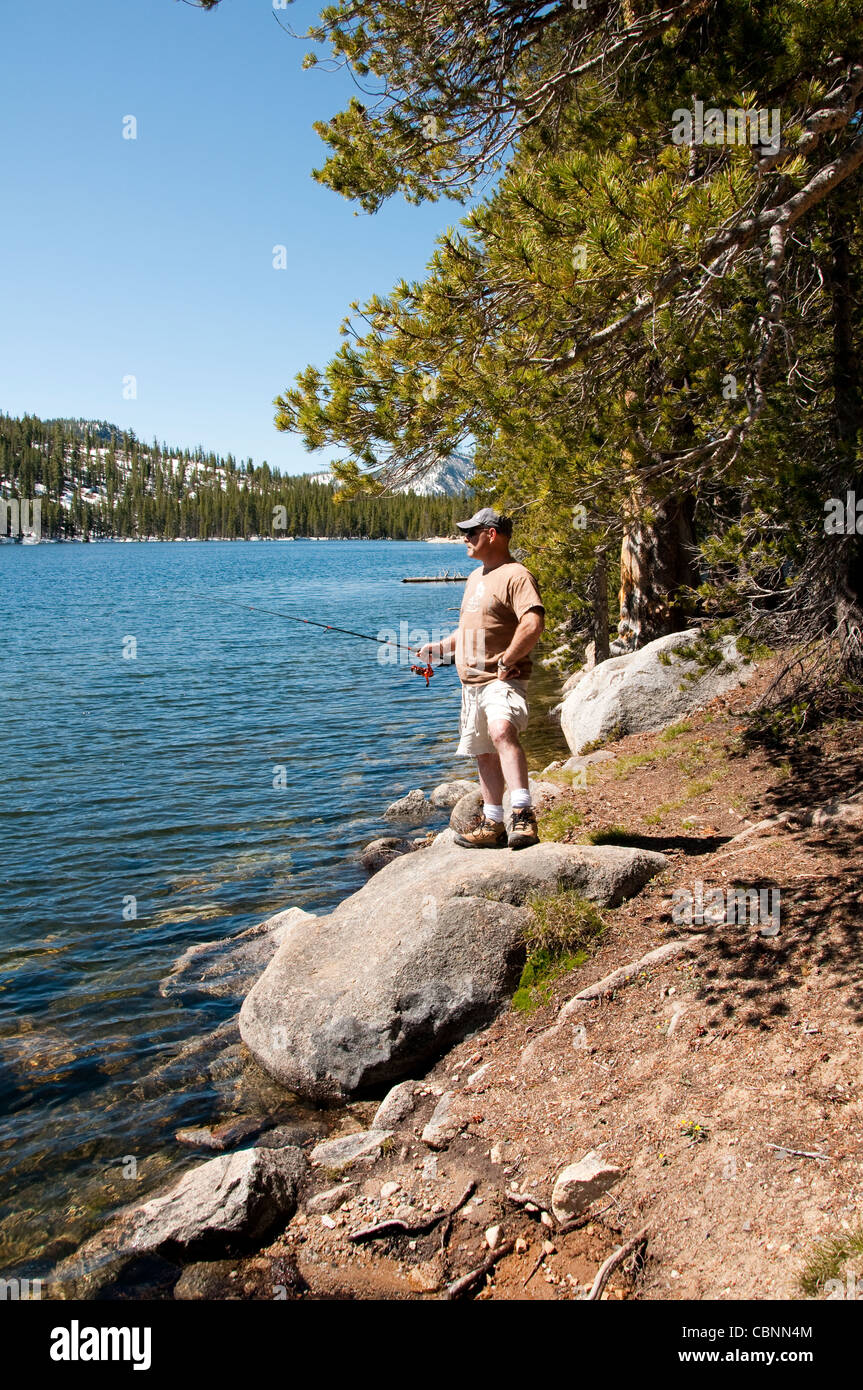 Trout fishing, Tenaya Lake, Yosemite National Park, California, USA ...