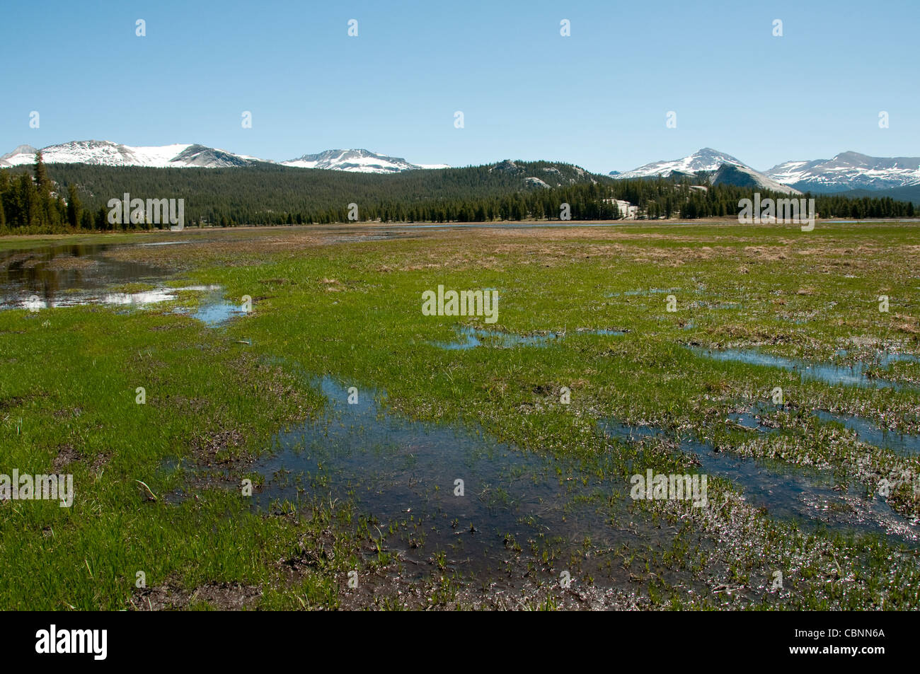 Tuolumne Meadows, Spring Melt, Yosemite National Park, California, USA ...