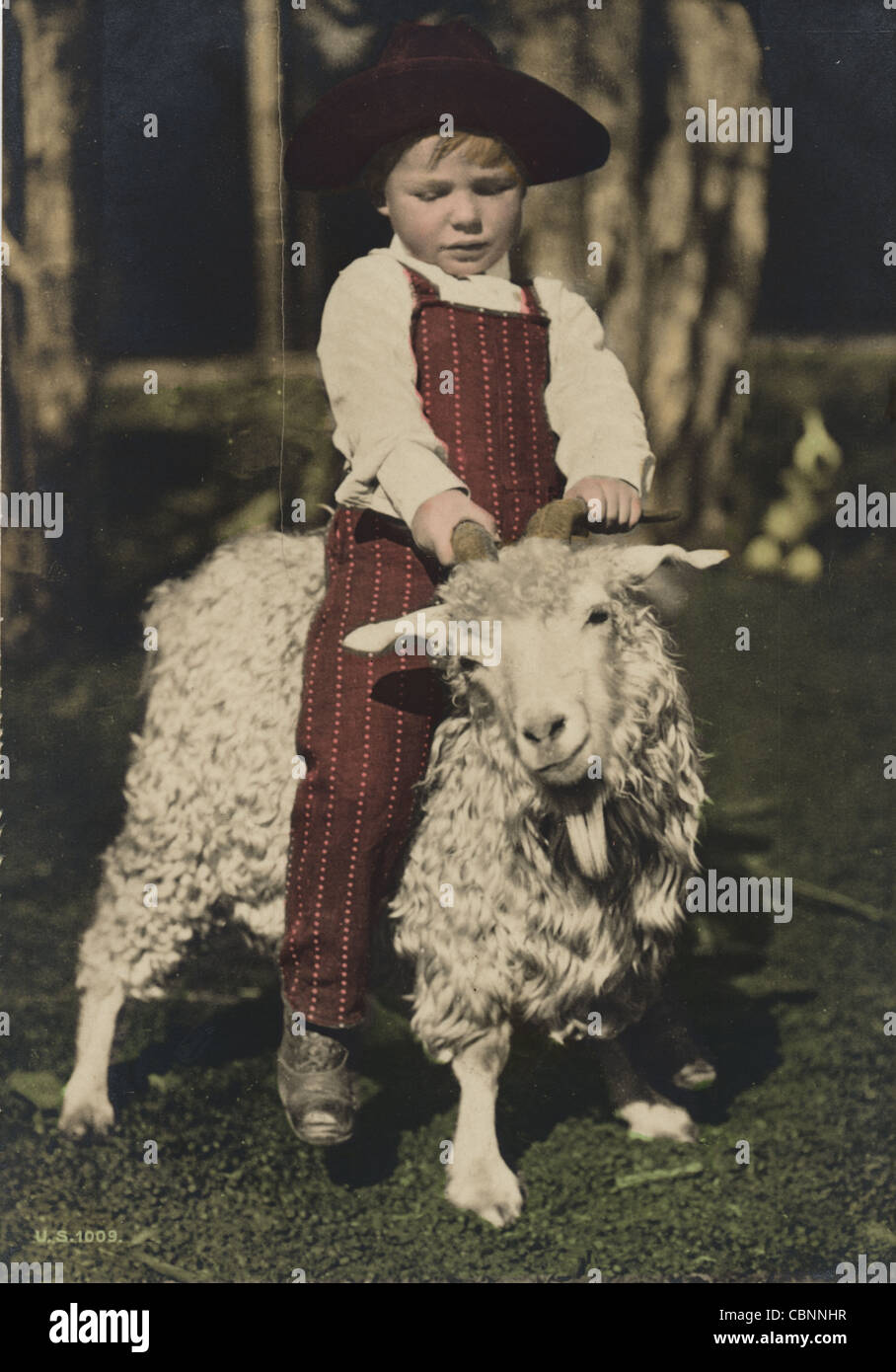 Little Boy in Dungarees Riding a Sheep Stock Photo - Alamy