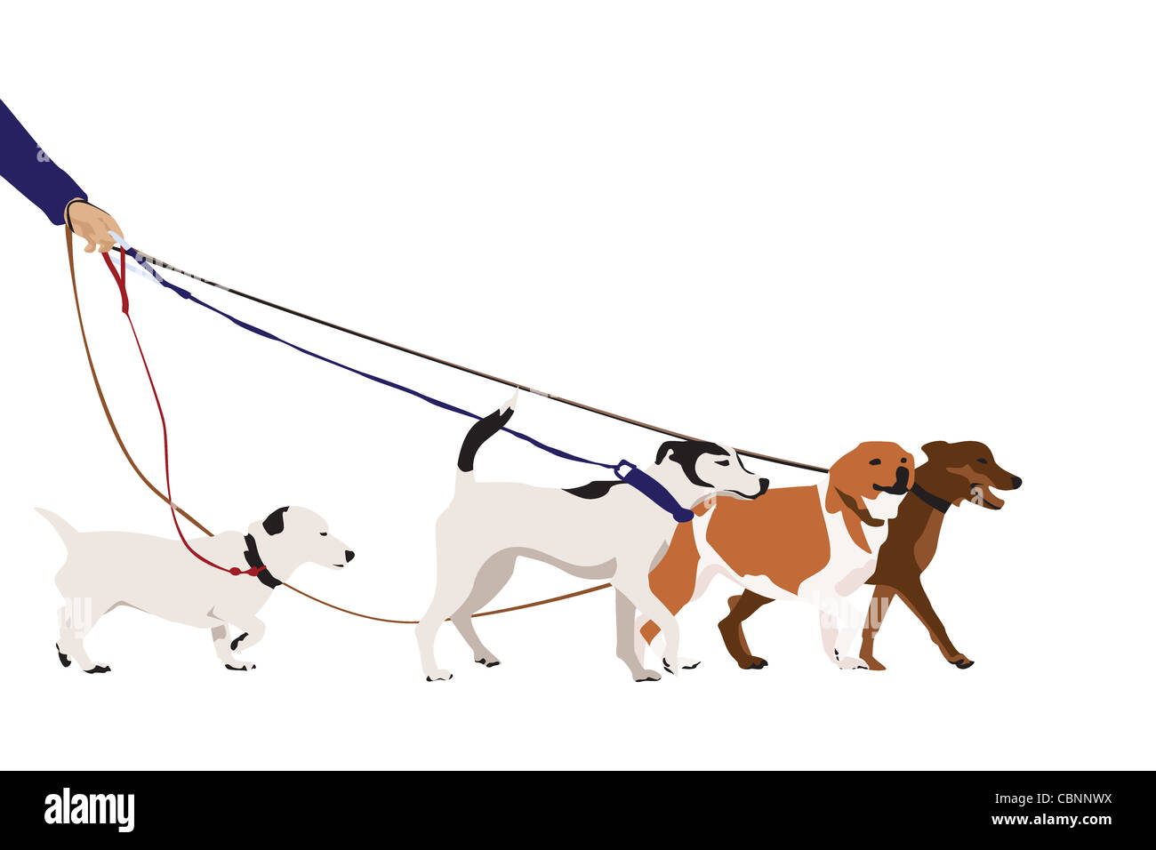 Service dog walking Cut Out Stock Images & Pictures - Alamy