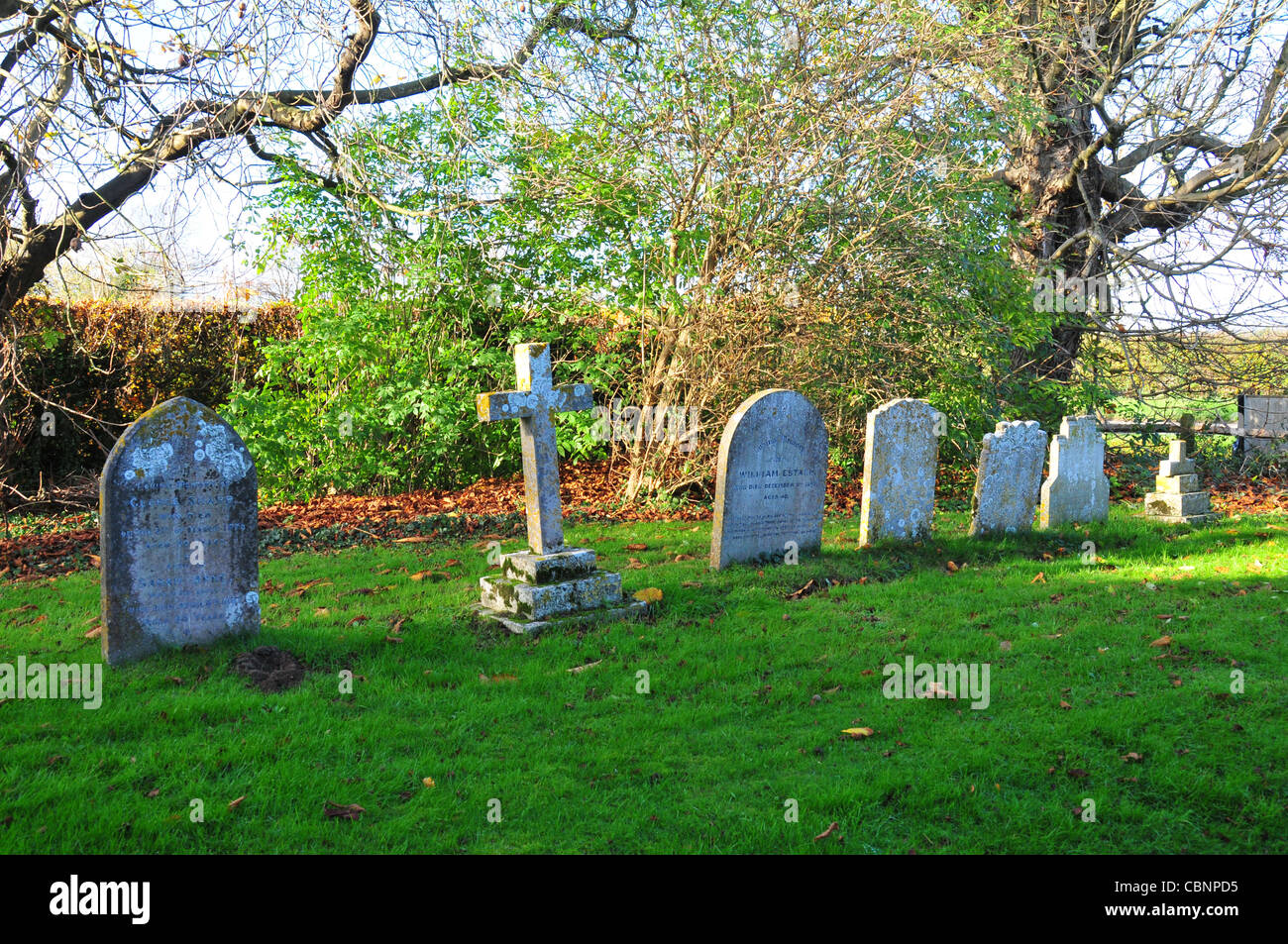 Hardham hi-res stock photography and images - Alamy