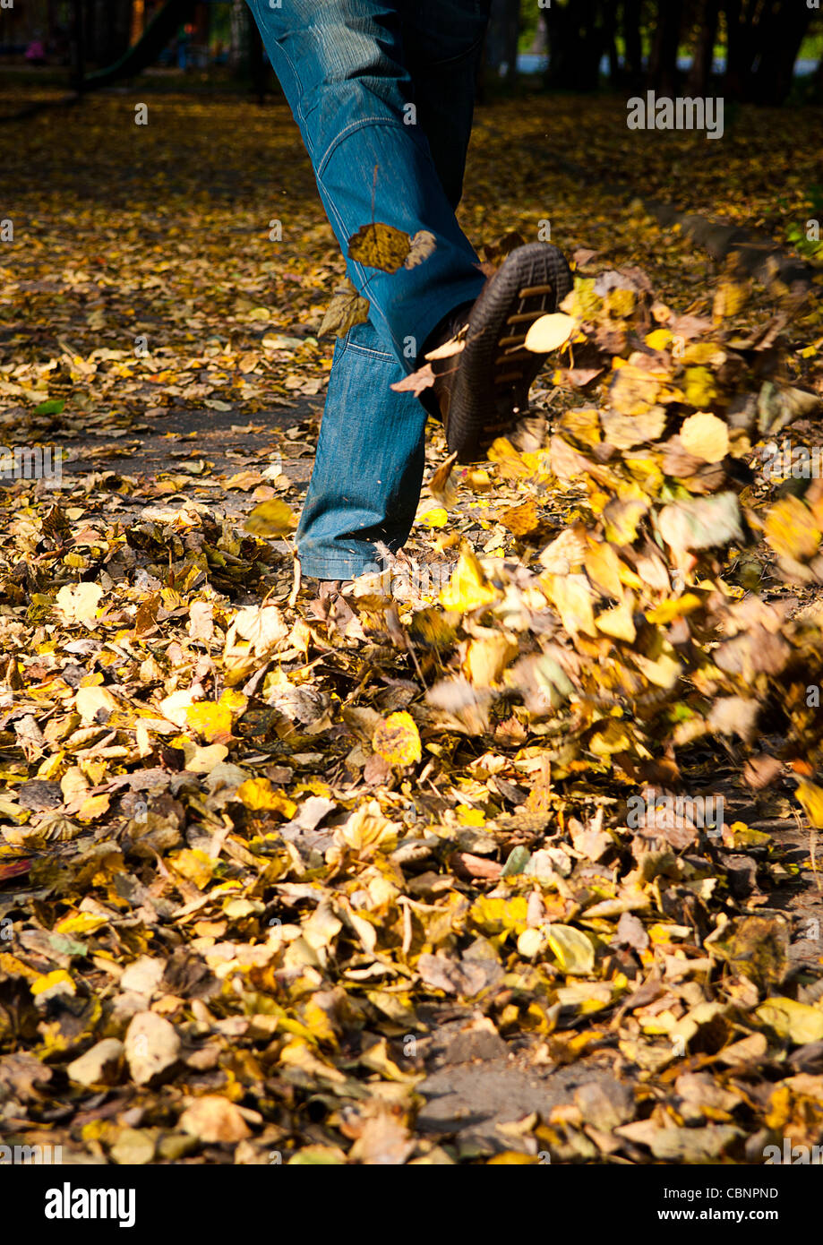 Feet walking through brightly colored fall leaves on the ground Stock ...
