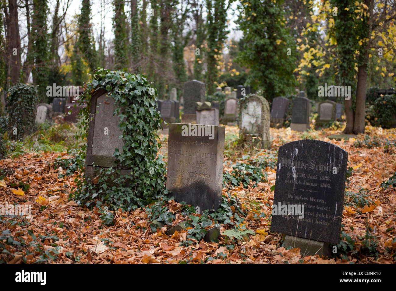 old cemetery broken grave Stock Photo - Alamy