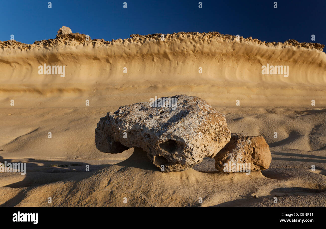Upper coralline hi-res stock photography and images - Alamy