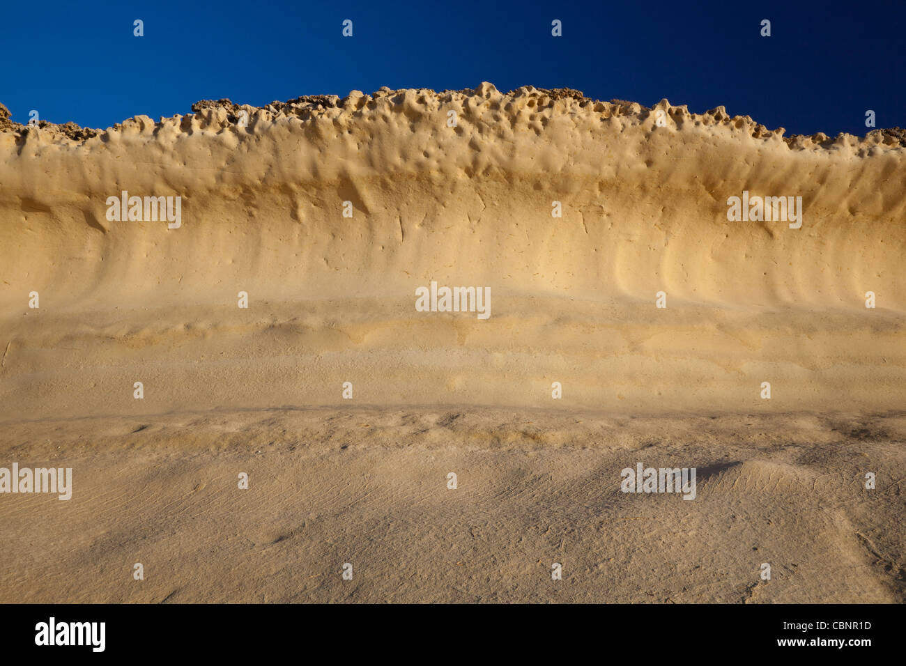 A layer of globigerina limestone formed into a concave wave by wind ...