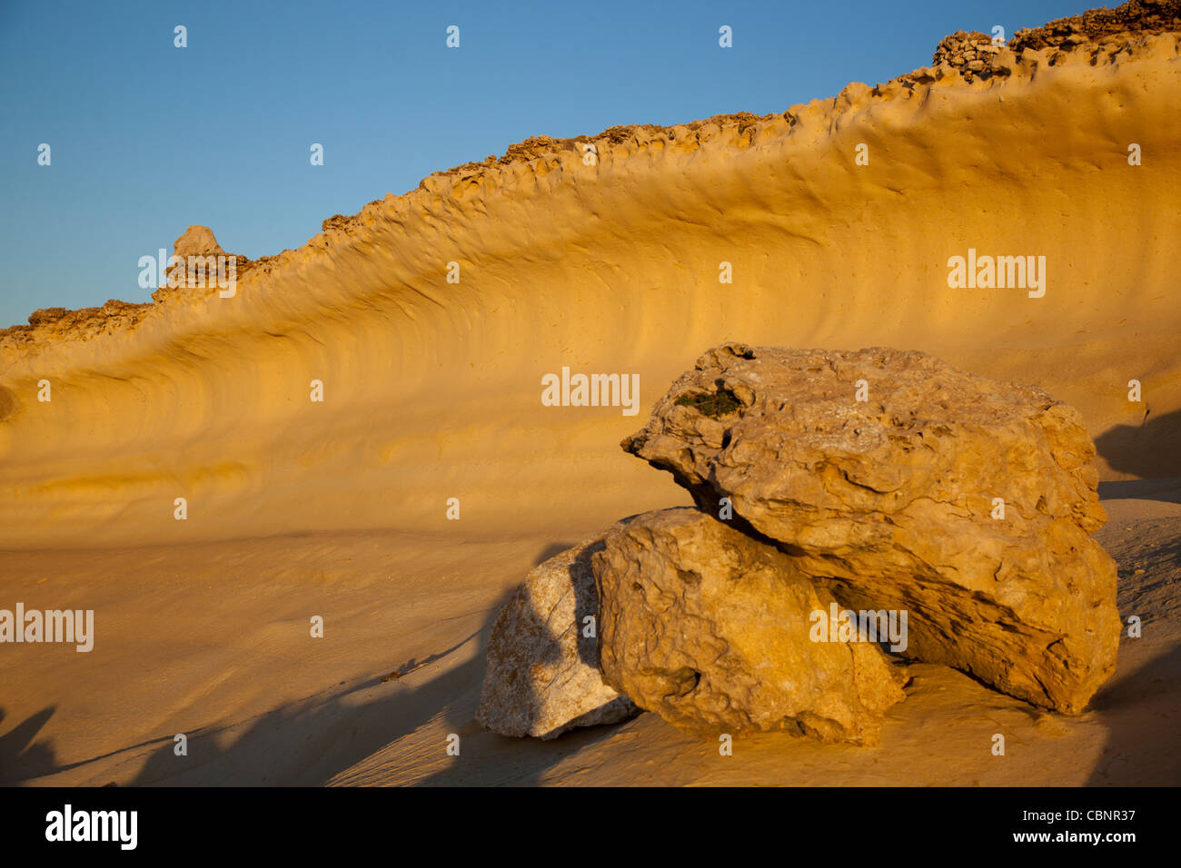 A layer of globigerina limestone formed into a concave wave by wind ...
