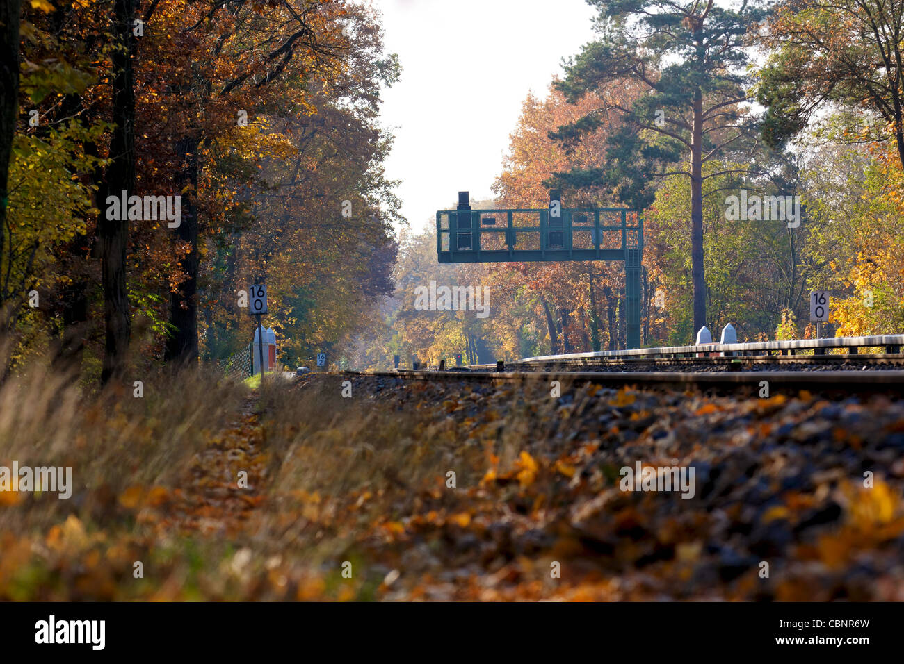 Railroad running in the forest hi-res stock photography and images - Alamy