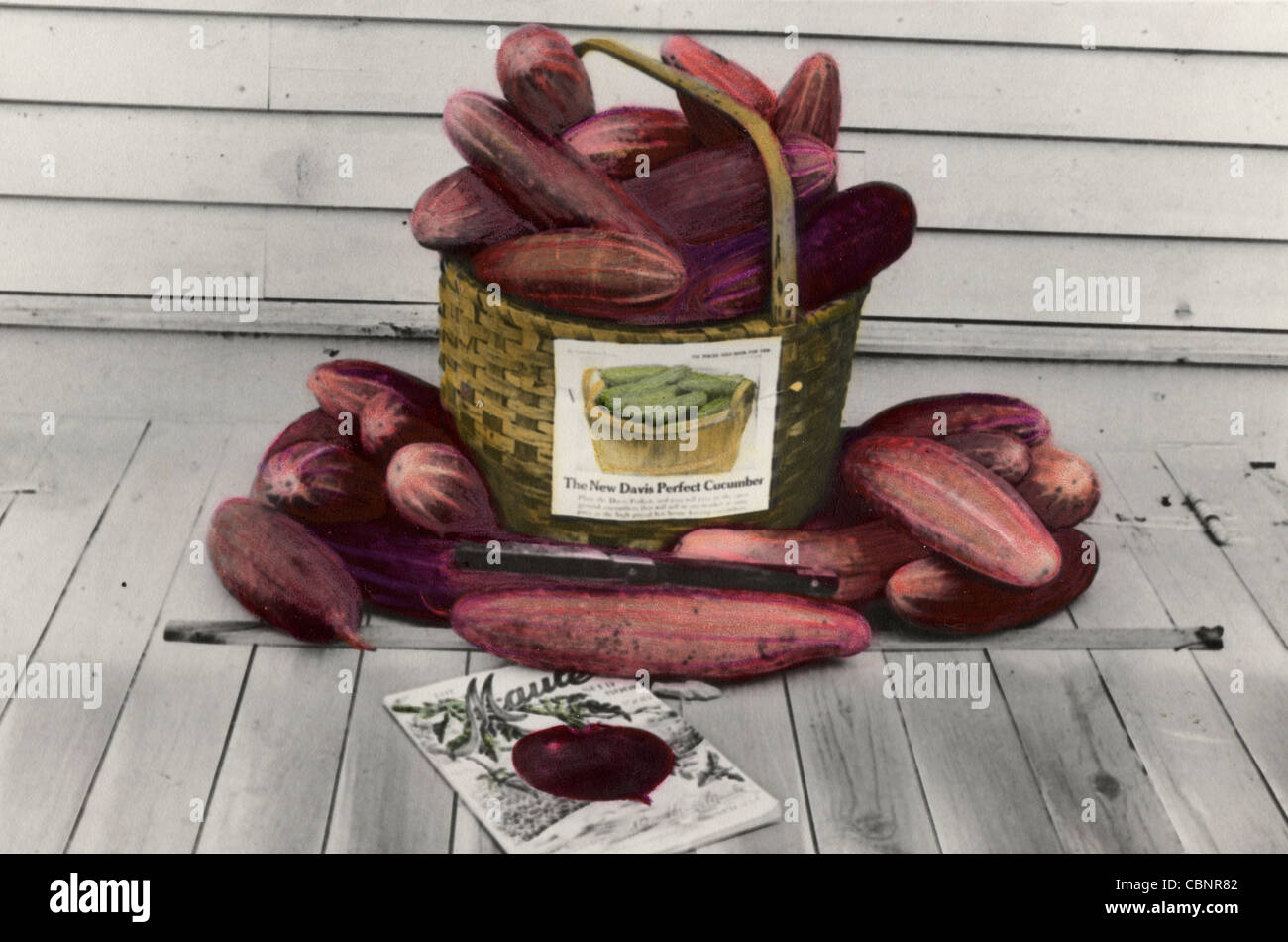 The New Davis Perfect Cucumber Stock Photo - Alamy