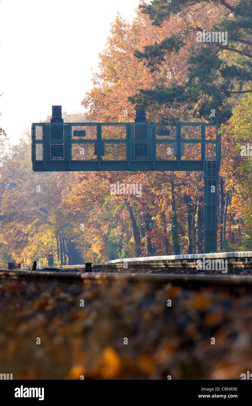 A Signal at Railroad Track Running through a Fall Forest in Berlin ...