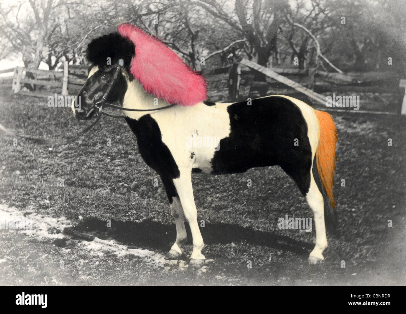 Punk rock hi-res stock photography and images - Alamy