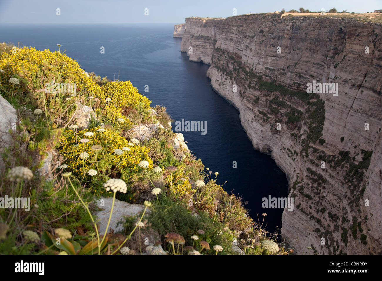 Garigue hi-res stock photography and images - Alamy