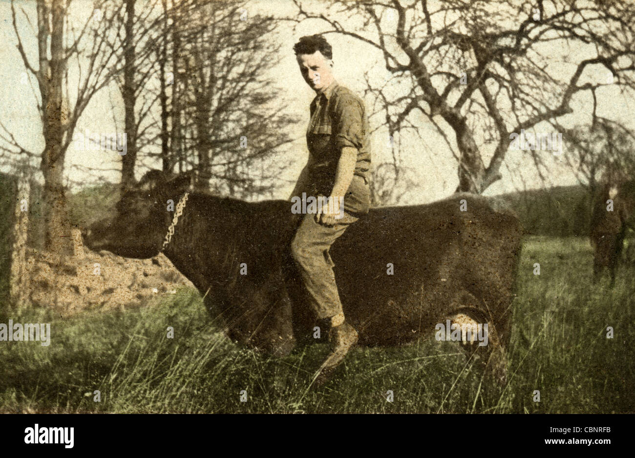 Farmer Riding a Cow Stock Photo - Alamy