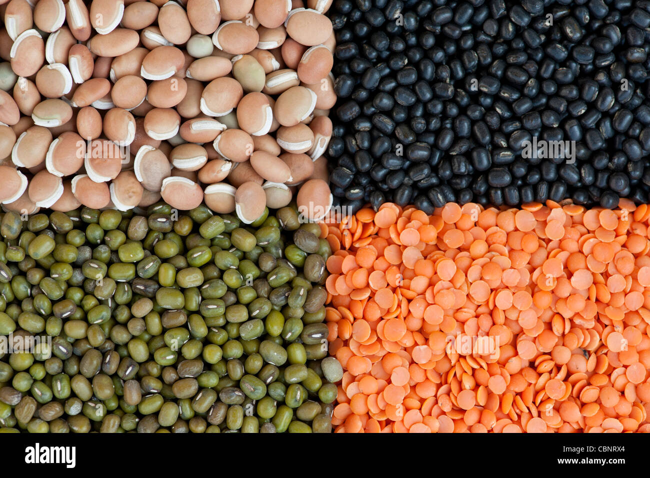 Pulses, seeds, bean and lentil pattern Stock Photo - Alamy