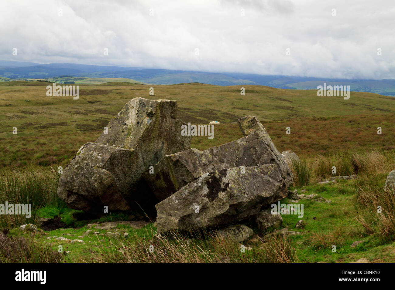 Arenig hi-res stock photography and images - Alamy