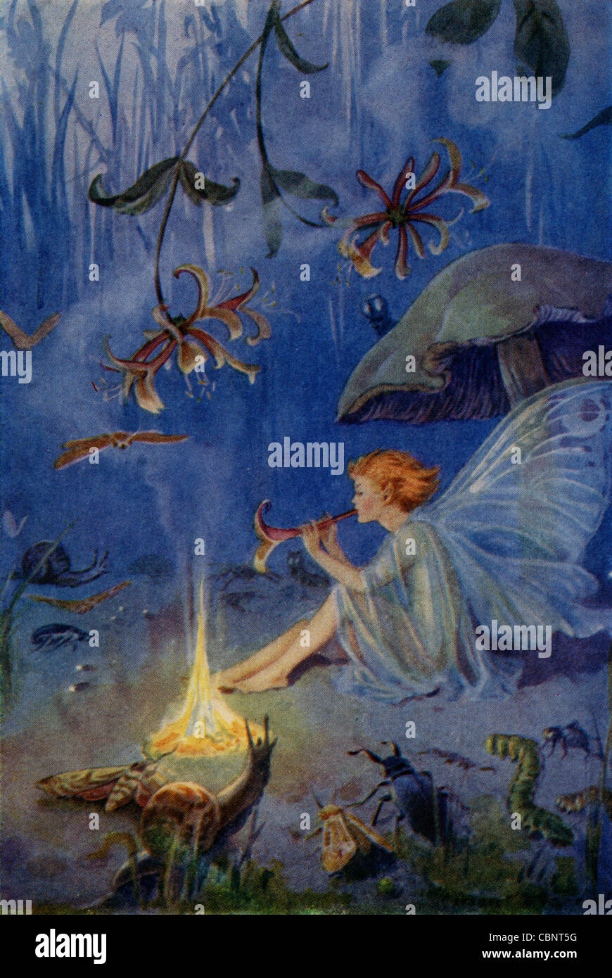 Enchantress hi-res stock photography and images - Alamy