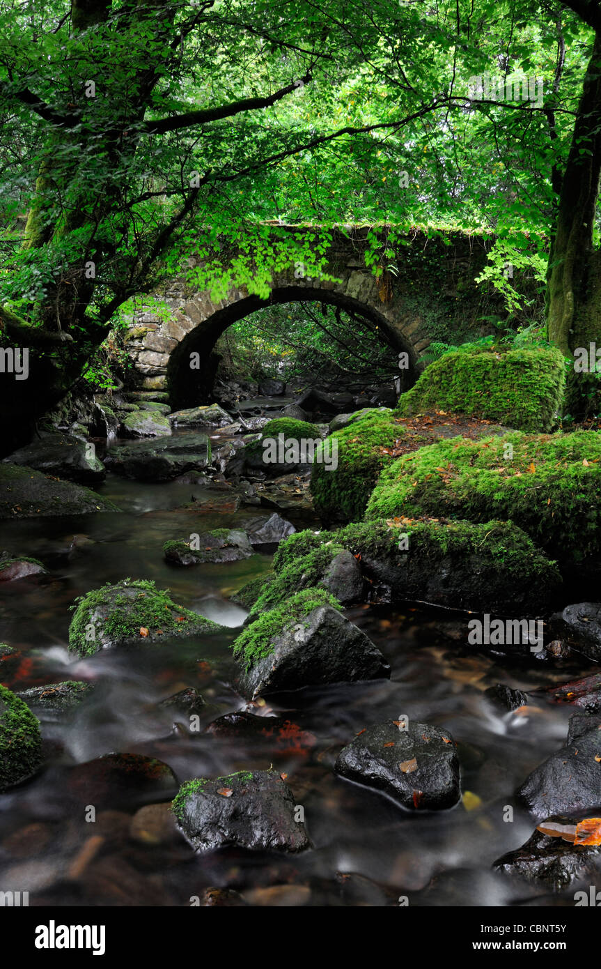 Old stone bridge ireland hi-res stock photography and images - Alamy