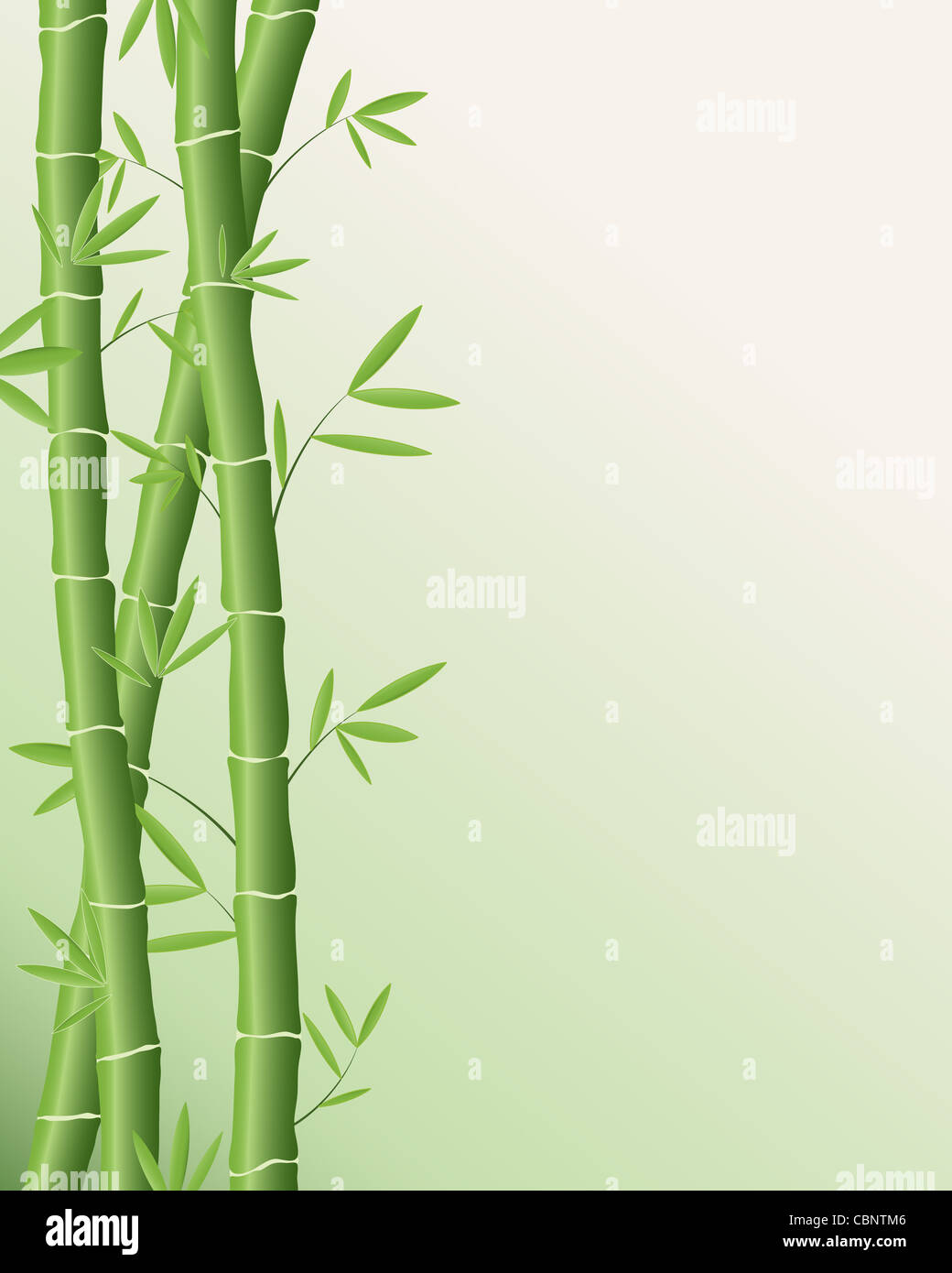 an illustration of green bamboo poles with leaves on a pale green ...