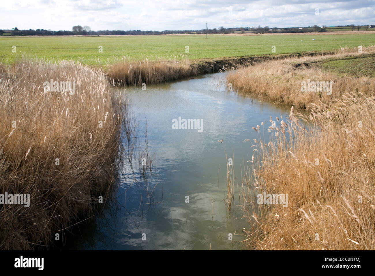 Butley marshes hi-res stock photography and images - Alamy