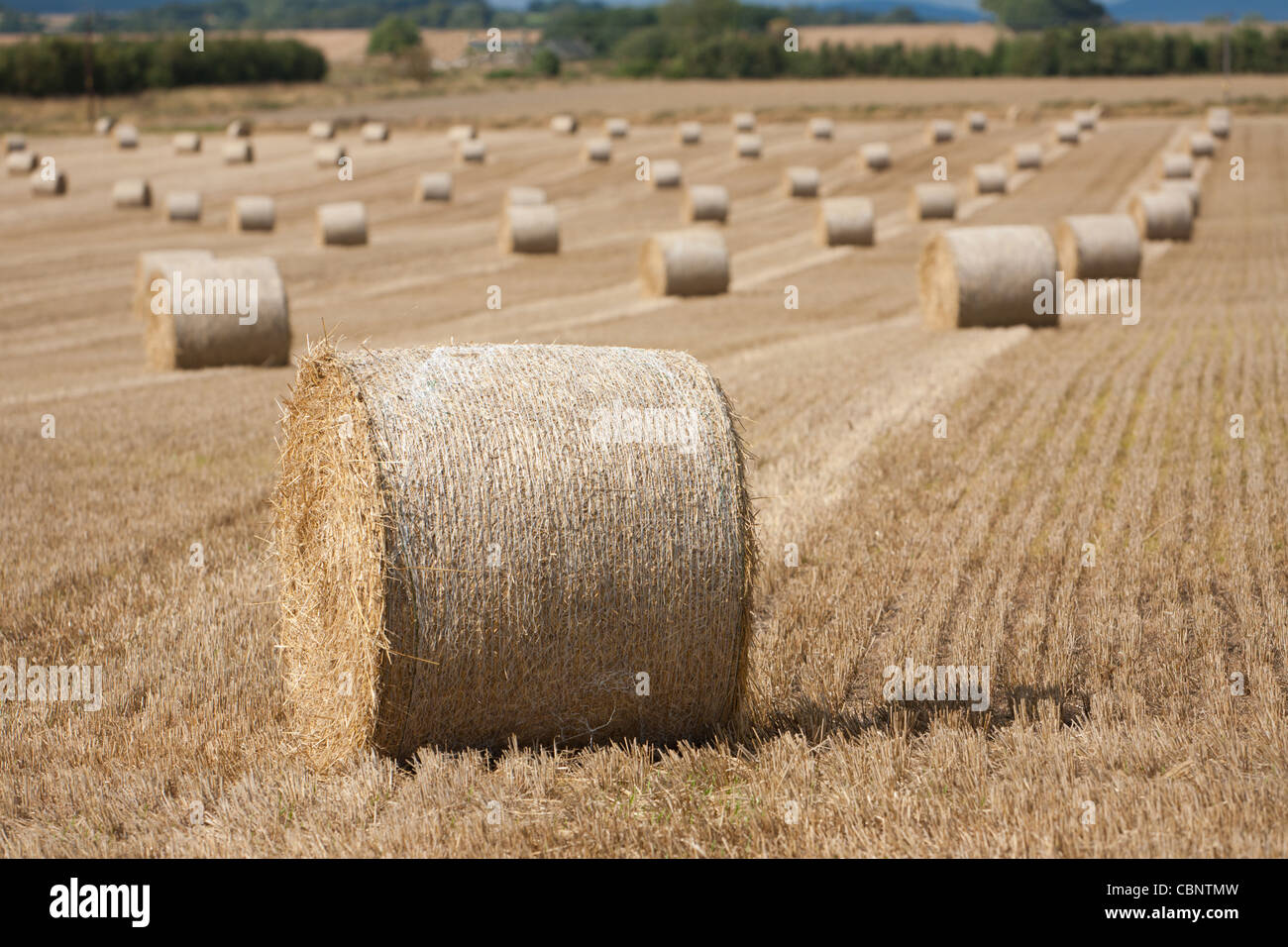 Hay bails construction site hi-res stock photography and images - Alamy