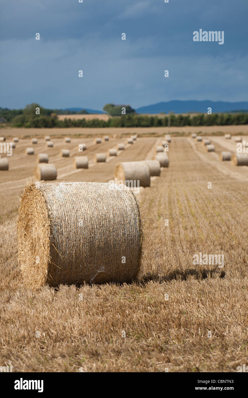 Hay bails construction site hi-res stock photography and images - Alamy