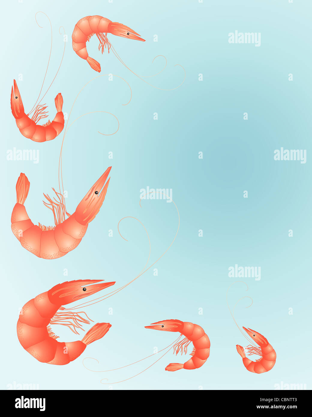 an illustration of brightly colored prawns on a sea blue background ...