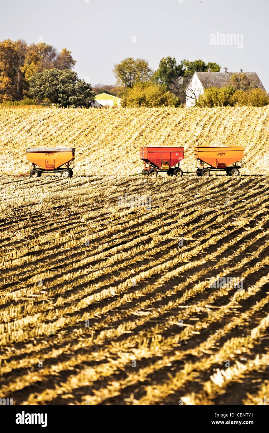 Three gravity box style grain wagons wait to be filled in a previously ...