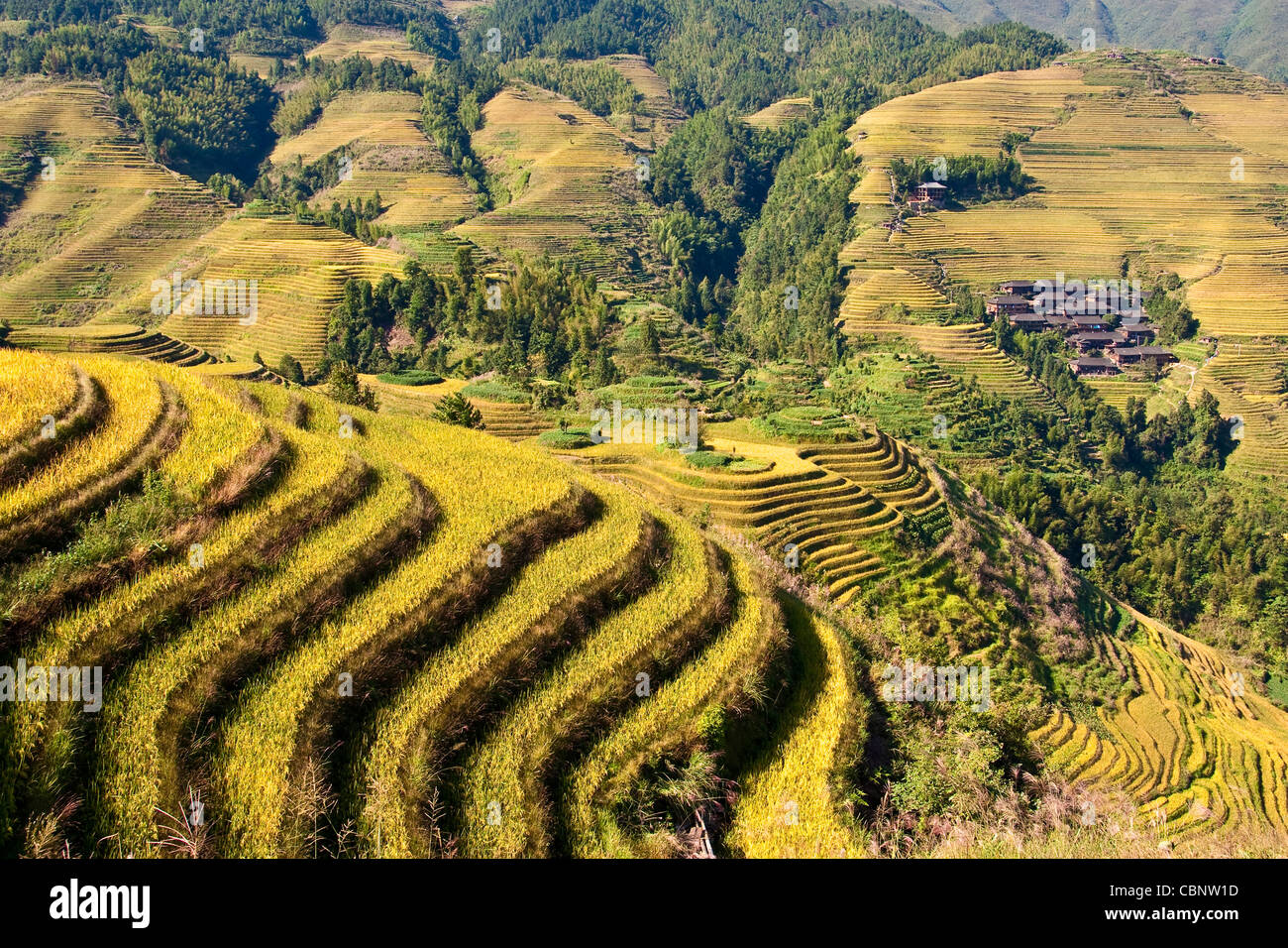 Longji rice terraces dazhai village hi-res stock photography and images ...
