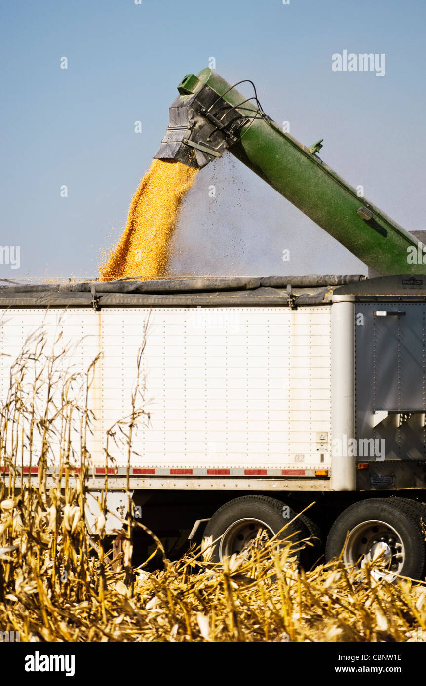 Truck farm vegetable harvest hi-res stock photography and images - Alamy