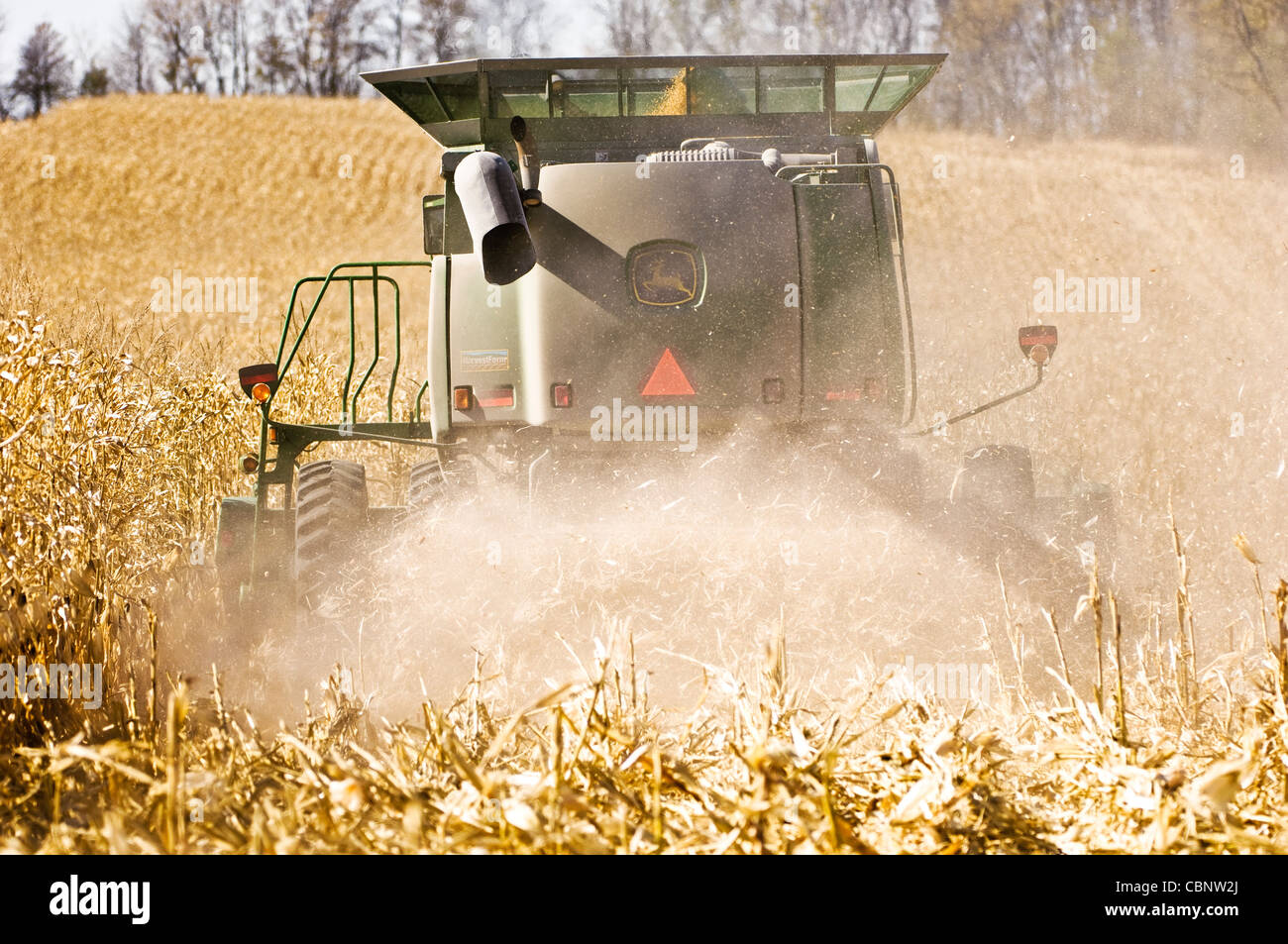 A combine harvester picking corn crop in a cloud of dust Stock Photo ...