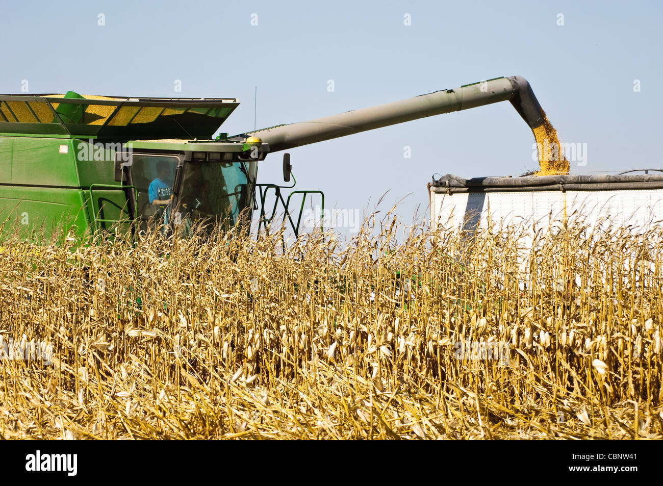 Corn harvest america hi-res stock photography and images - Alamy