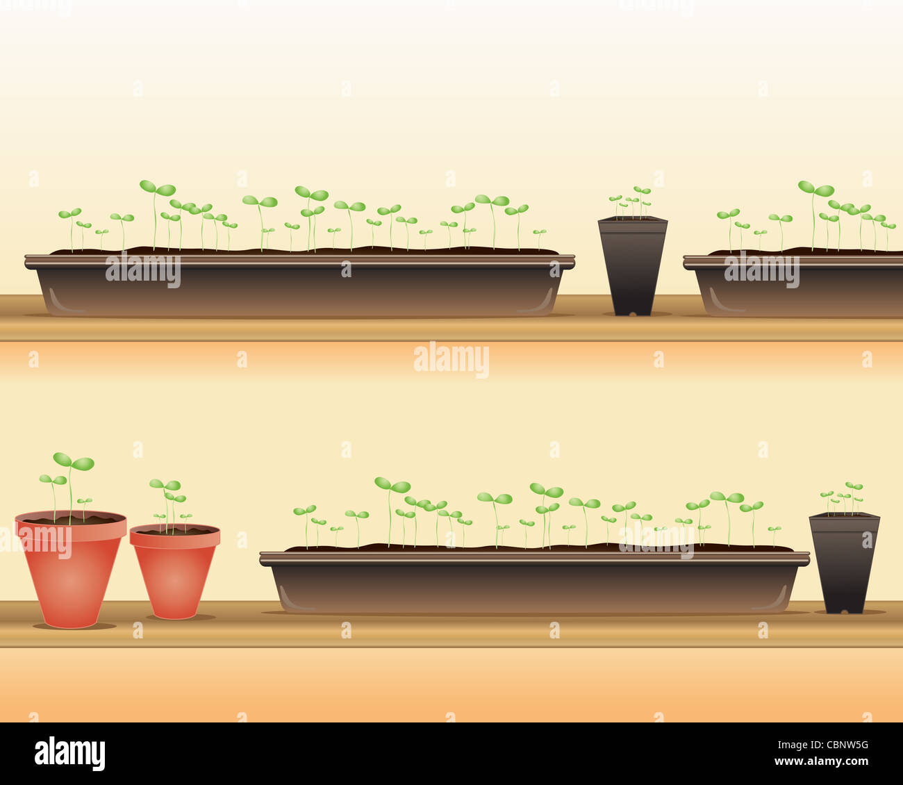 an illustration of trays and pots of seedlings on wooden benches in ...