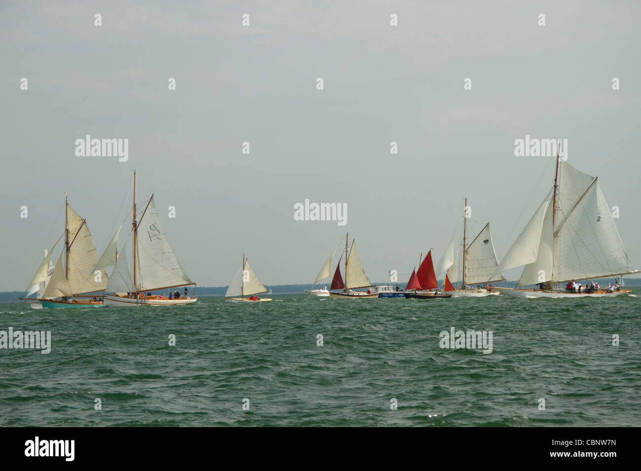Gaff Rigged vessels racing in close proximity at the 2011 Old Gaffers ...