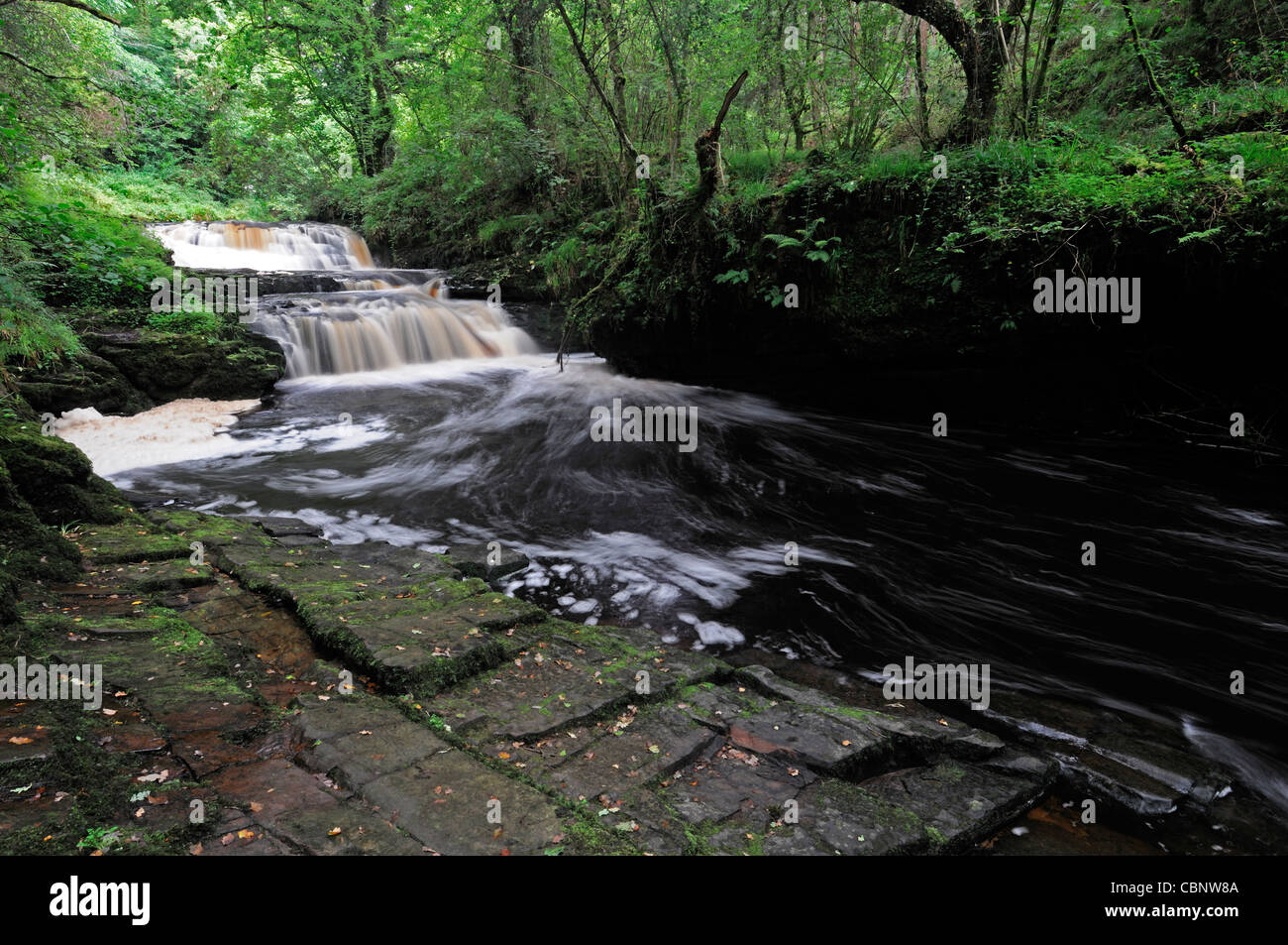 Clare Glens waterfall falls scene scenic along the Clare river flow ...