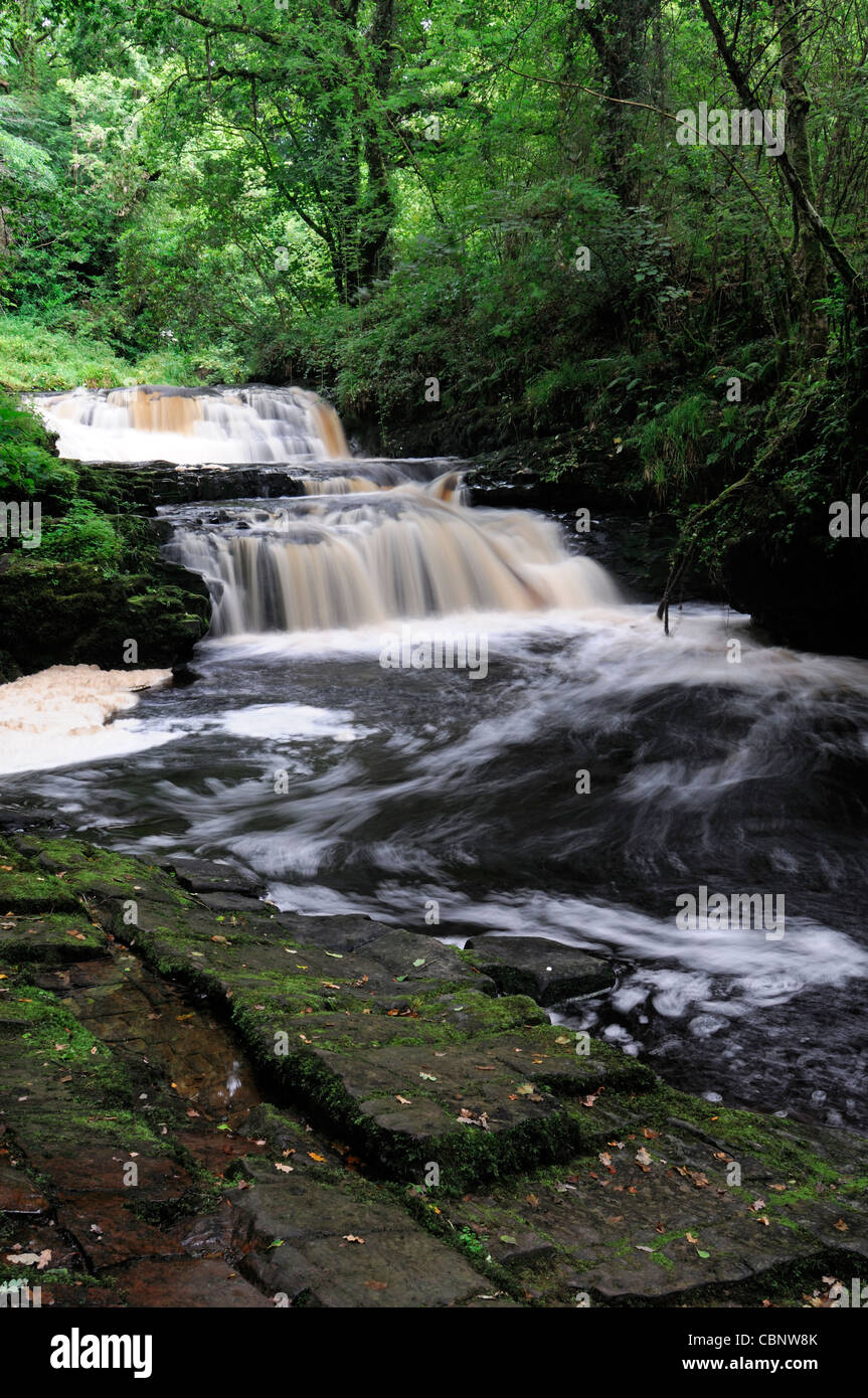 Clare Glens waterfall falls scene scenic along the Clare river flow ...