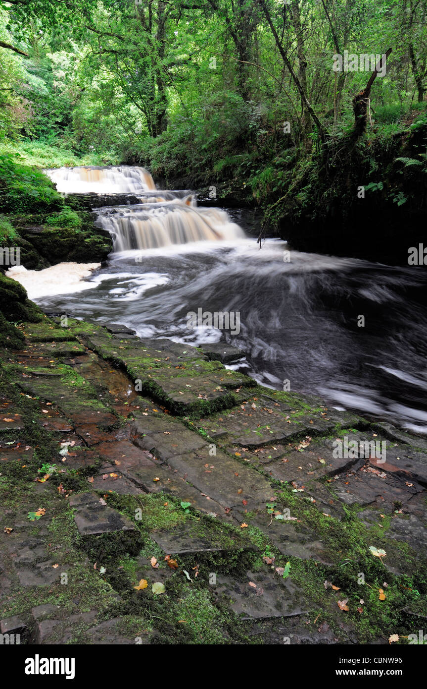 Clare Glens waterfall falls scene scenic along the Clare river flow ...