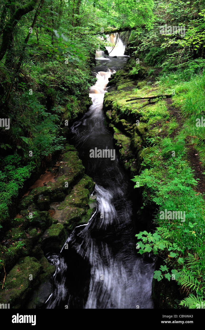 Clare Glens waterfall falls scene scenic along the Clare river flow ...